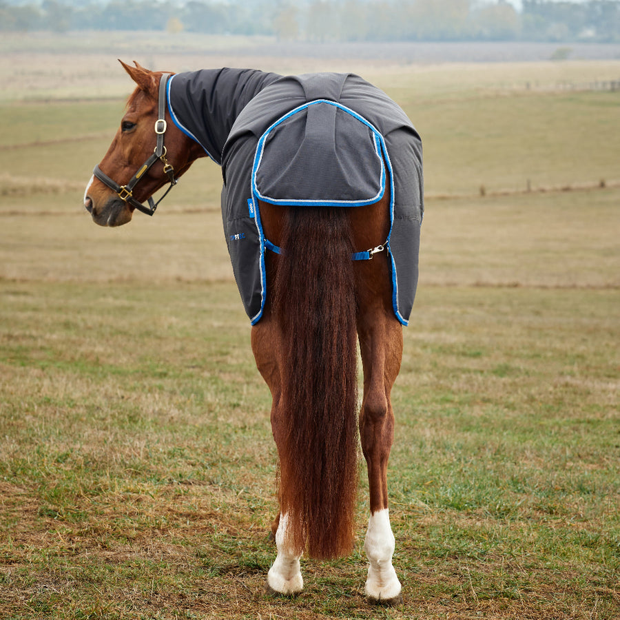 Discover Women's Equestrian Clothing and Accessories | GS Equestrian